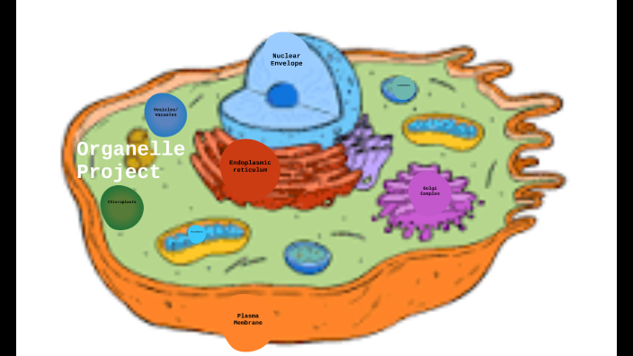 Organelle Project by Jovanny Santos on Prezi