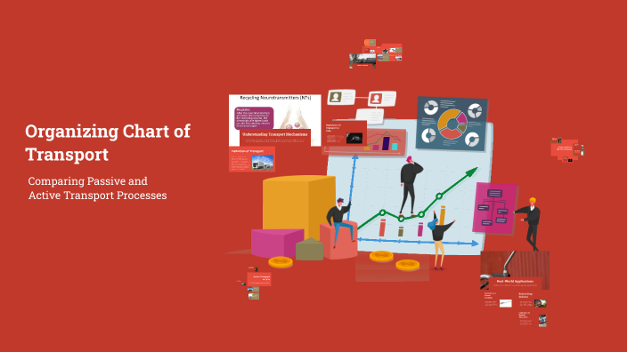 Organizing Chart of Transport by Abdallah Elsherbini on Prezi