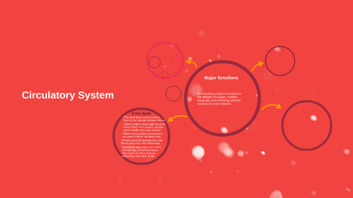 Circulatory System by dylan mullis on Prezi