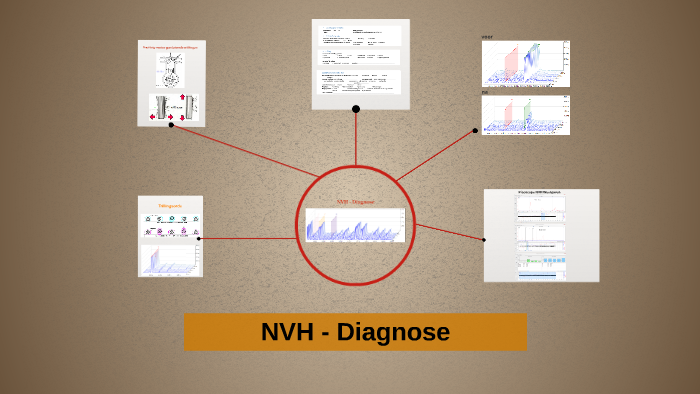 NVH - Diagnose by sander eeckhout on Prezi