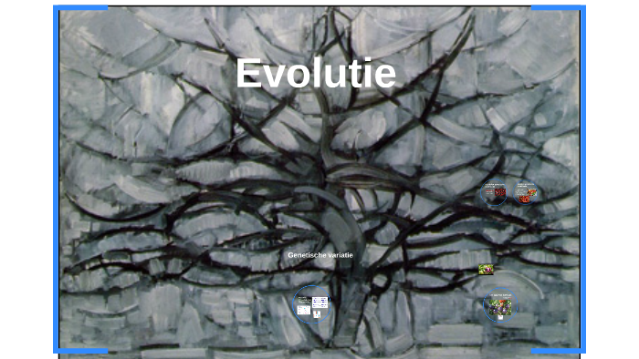 Paarse tomaat by Judith Gulikers on Prezi