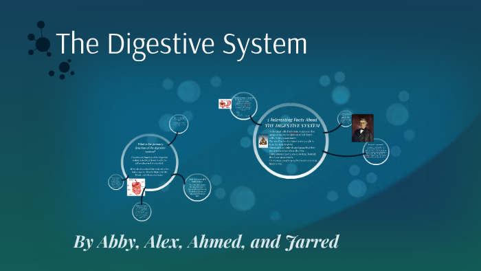 The Digestive System by Dragon_ Master_JM on Prezi