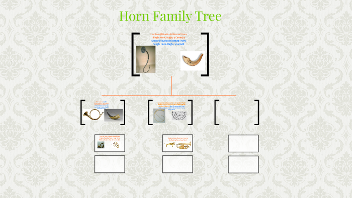 Horn Family Tree by Sydney P. on Prezi