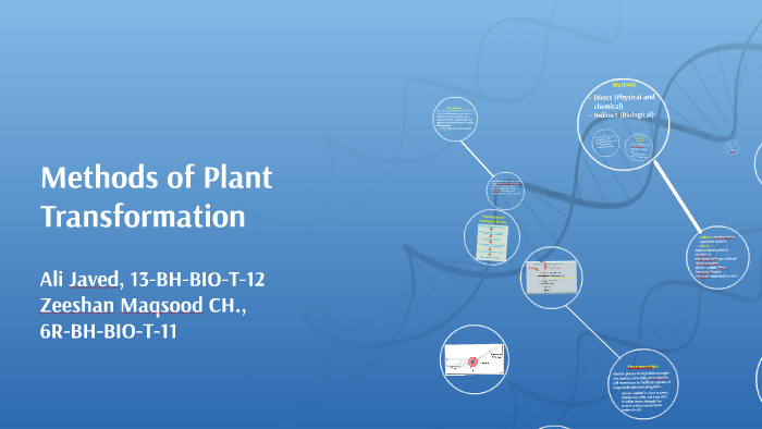 Methods of Plant Transformation by Ali Javed