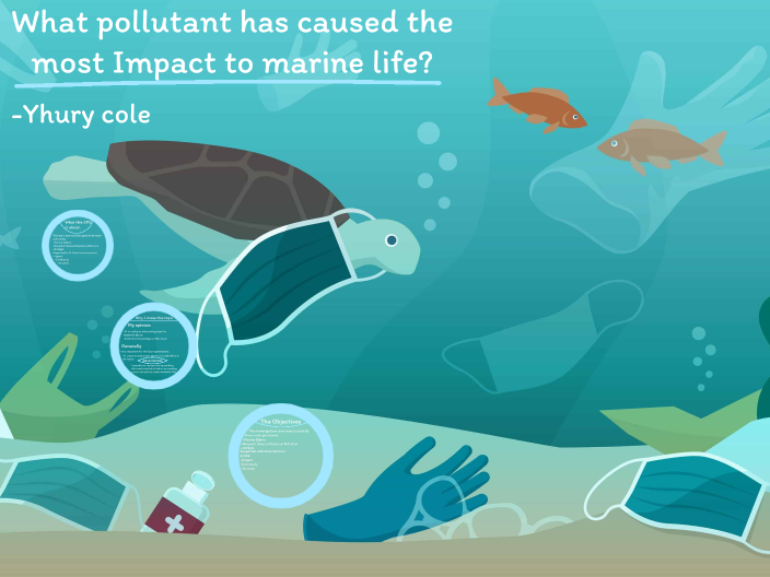 What pollutant has caused the most Impact to marine life? by Yhury Cole ...