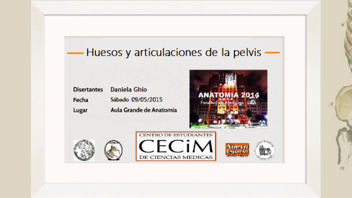 Huesos y articulaciones de la pelvis by Daniela Ghio on Prezi