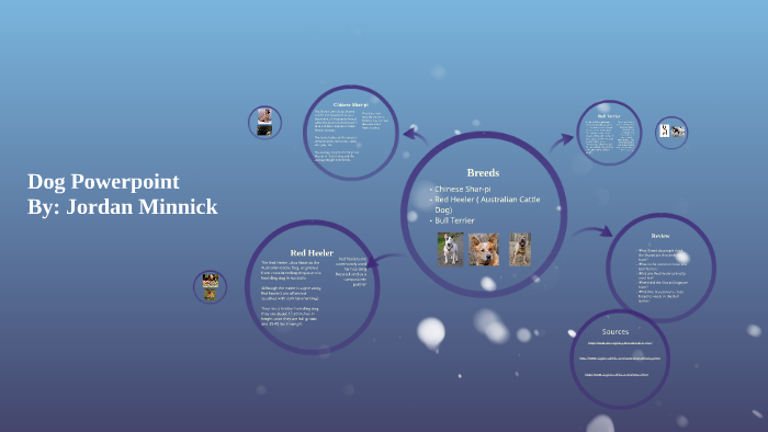 Dog Powerpoint by