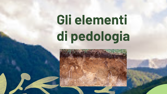 Gli elementi di pedologia by marco colletta on Prezi