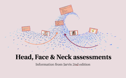 Head, Face & Neck assessments by Tiphanie Norn on Prezi
