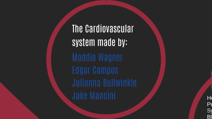 Cardiovascular System by maddie Wagner on Prezi