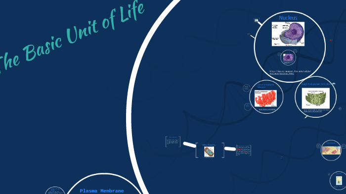 The Basic Building Block of Life by on Prezi