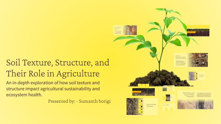 Soil Texture, Structure, and Their Role in Agriculture by sandy on Prezi