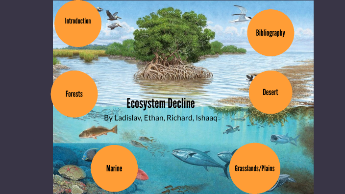 Ecosystem Decline by Ladislav Chea on Prezi