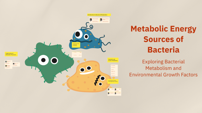 Metabolic Energy Sources of Bacteria by Gündüz Bora Dolma on Prezi