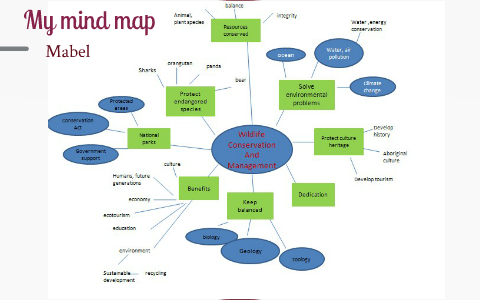 mind map by mi zhou on Prezi