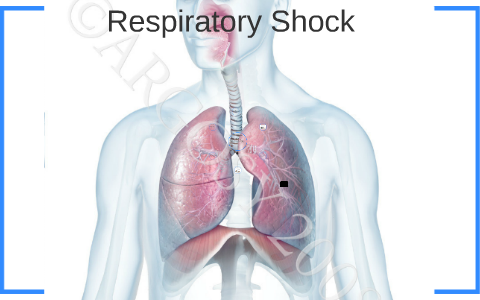 Respiratory Shock by Aaron Travers on Prezi
