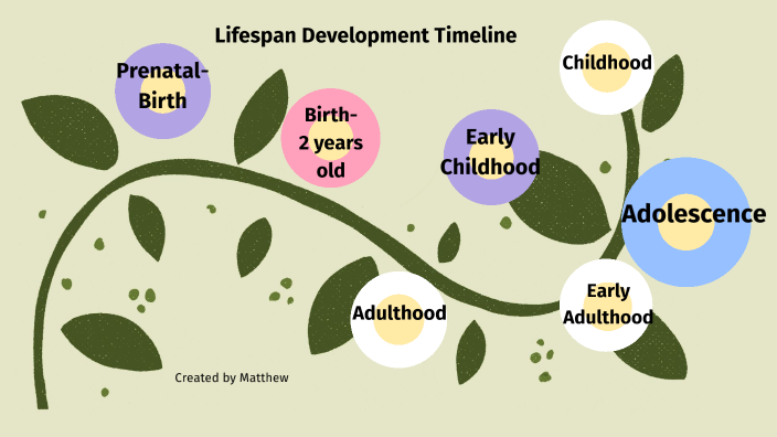 Matthew Clegg Lifespan Development Timeline by Matthew Clegg on Prezi