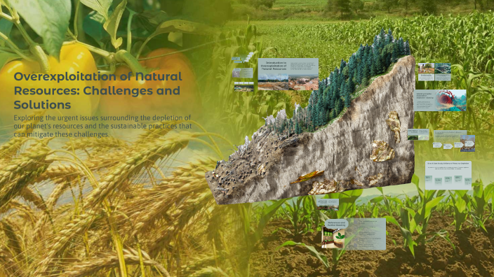 Overexploitation of Natural Resources: Challenges and Solutions by ...