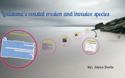 Louisiana's coastal erosion and invasive species by nola878 nola878