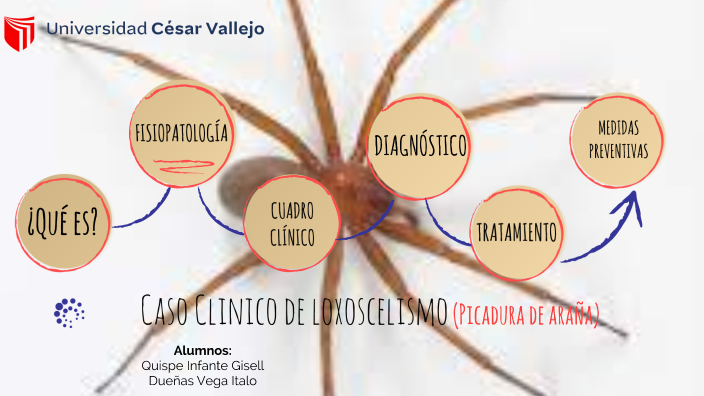caso clinico de loxoscelismo (picadura de araña)) by Italo Dueñas Vega ...