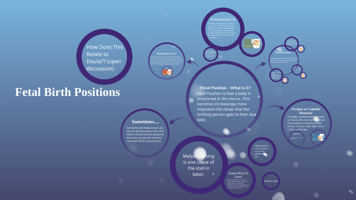 Fetal Birth Positions by Shanel Ivy on Prezi