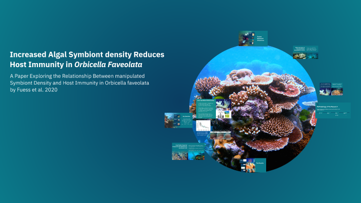 Impact of Algal Symbionts on Coral Immunity by Erin O'Brien on Prezi