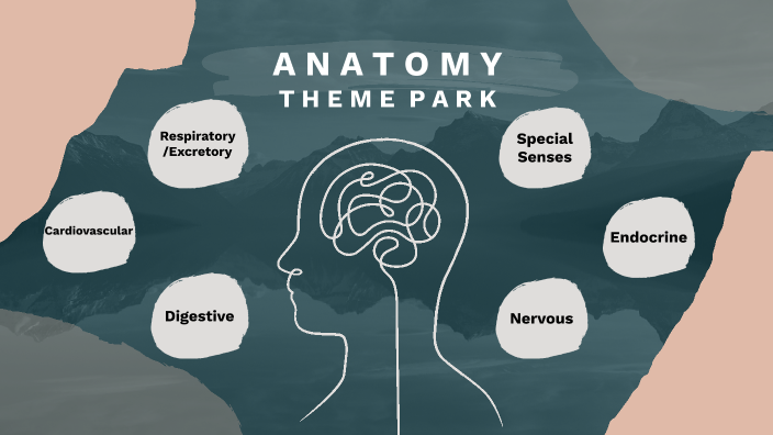 Human Body Theme Park - by Kaylie Petrino on Prezi