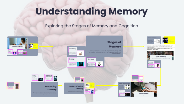 Understanding Memory by Justin MacDougall on Prezi