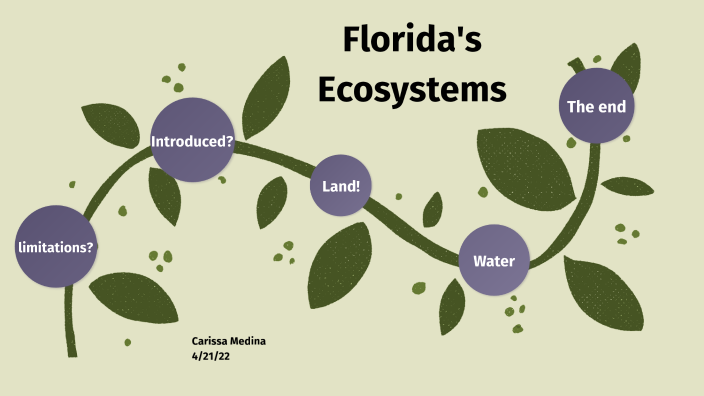 Floridas Ecosystems by CARISSA MEDINA on Prezi