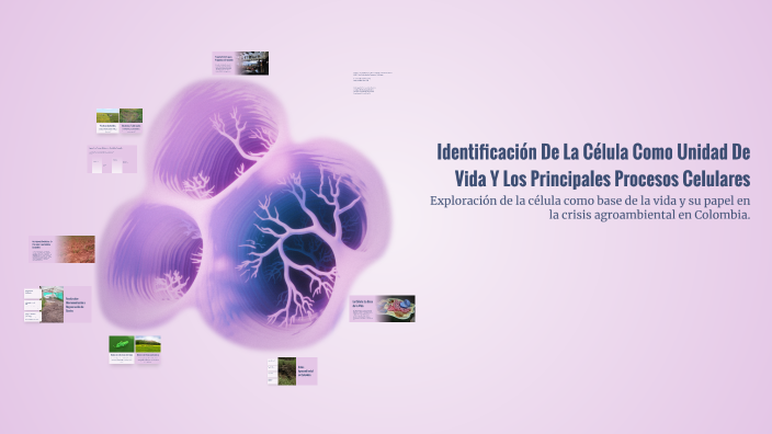 Identificación De La Célula Como Unidad De Vida Y Los Principales ...