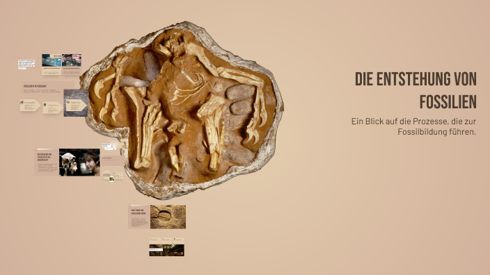 Die Entstehung von Fossilien by Lukas Sebastian Laus on Prezi