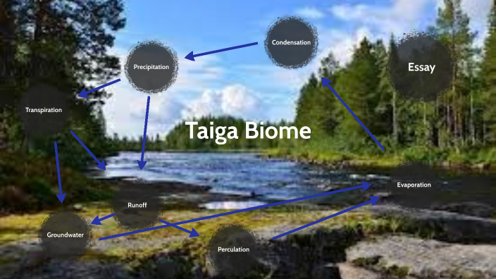 Science Biome Presentation by Adrianna Miller on Prezi