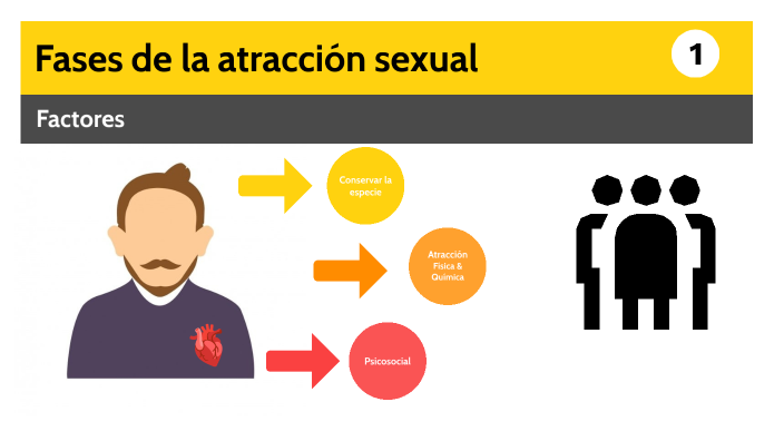 FASES DE LA ATRACCION SEXUAL by JUSTIN MERO on Prezi