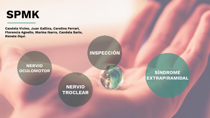 spmk by renata oqui on Prezi