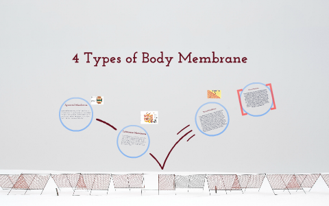 4 Types of Body Membrane by Jenny Gault on Prezi