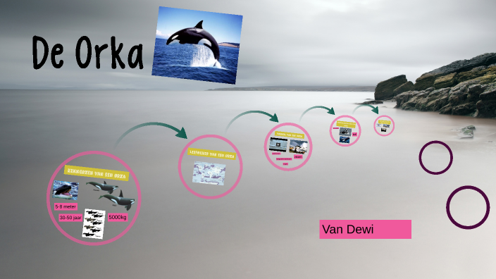 Spreekbeurt Orka by Jessie Bohmers on Prezi