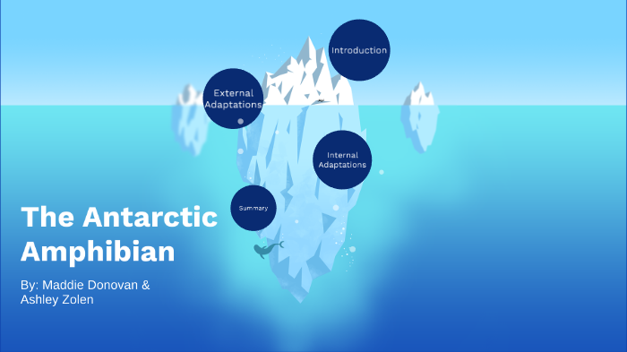 Redesigned Human by Maddie Donovan on Prezi