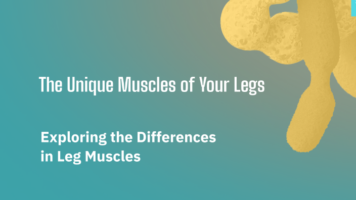 The Unique Muscles of Your Legs by Josiah Blanshard on Prezi