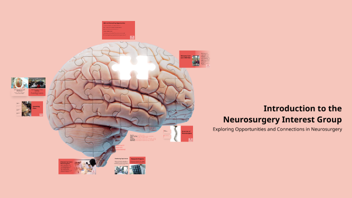 Introduction to the Neurosurgery Interest Group by Alexis LeDantec ...