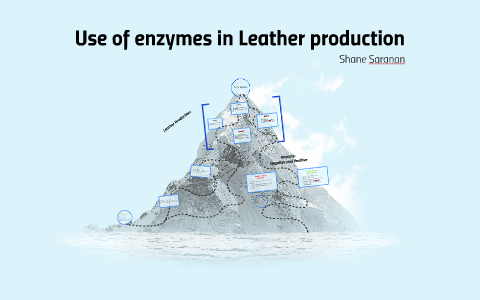 Use of enzymes in Leather production by Shane Saranon on Prezi