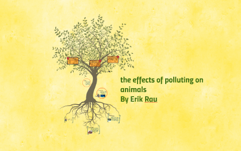 The effects of littering on animals by Erik Rau on Prezi