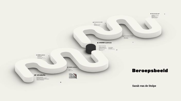 Beroepsbeeld by Sarah van de Stolpe on Prezi