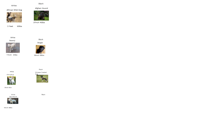 Periodic Table of Dogs by Connor Jarvis on Prezi