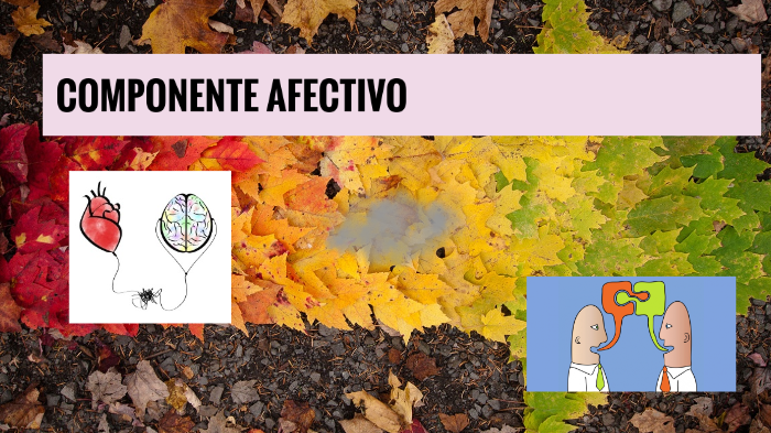 Componente afectivo by elita kristel paucar castro on Prezi