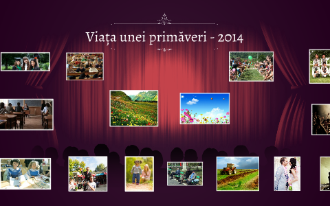 fhfjf by Stefan Danila on Prezi