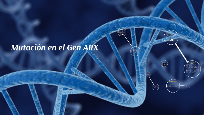Mutación en el Gen ARX by jonathan castillo on Prezi