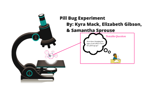 Pill Bug Experiment by Kyra Mack on Prezi