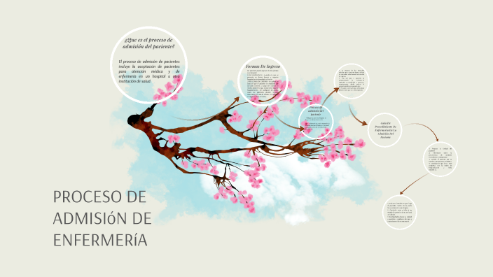 PROCESO DE ADMISIÓN DEL PACIENTE by Saac Lee on Prezi
