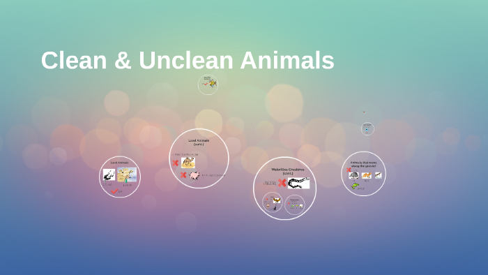 Clean & Unclean Animals by stephanie lau