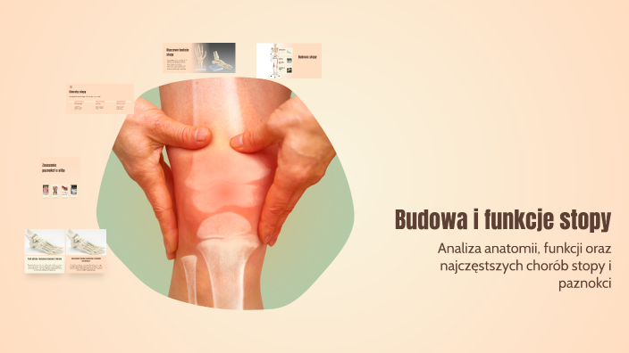 Budowa i funkcje stopy by Oliwia Dobroszczyk on Prezi